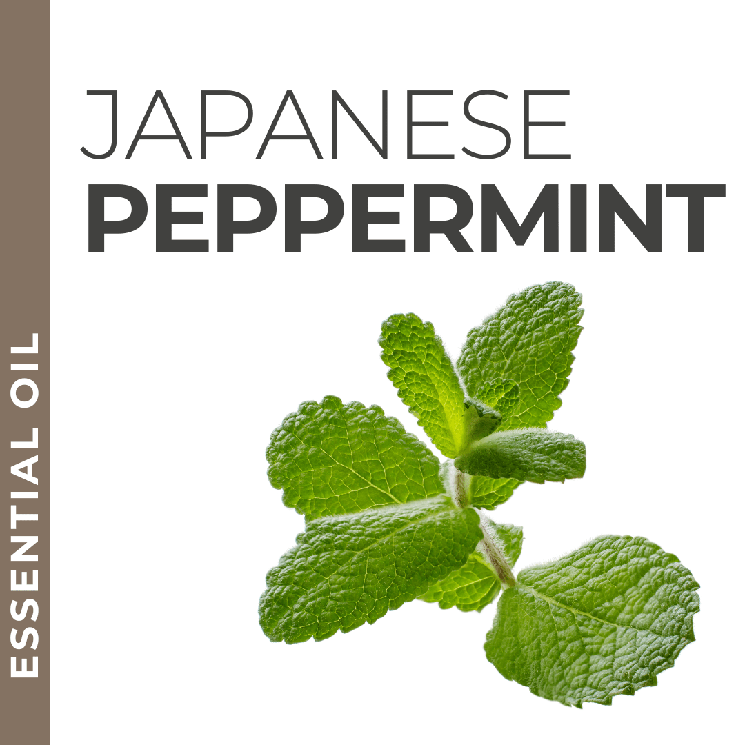 Japanese Peppermint - Wholesale Essential Oil