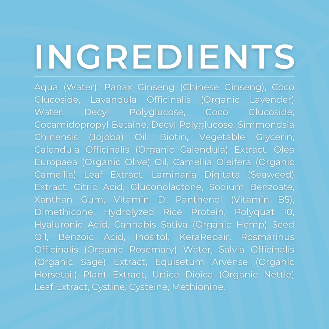 Wholesale Shampoo - Premium Bulk Hair Care Formulations